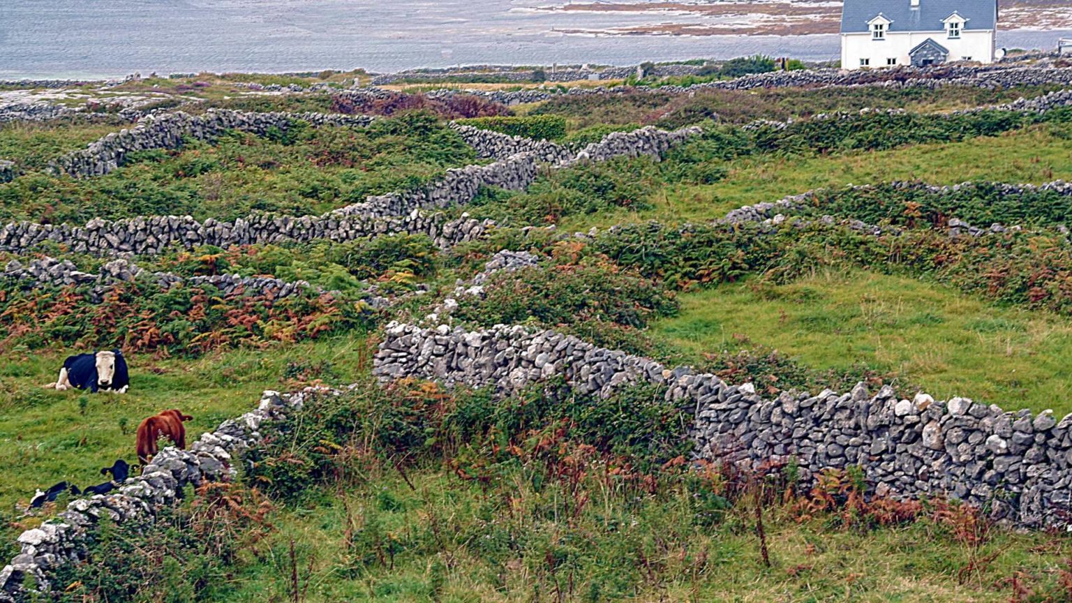 Inishmore Aran Island: How To Visit, Things To Do, Guide 2024
