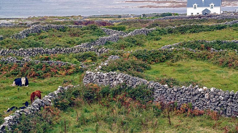 Inishmore Aran Island: How To Visit, Things To Do, Guide 2024