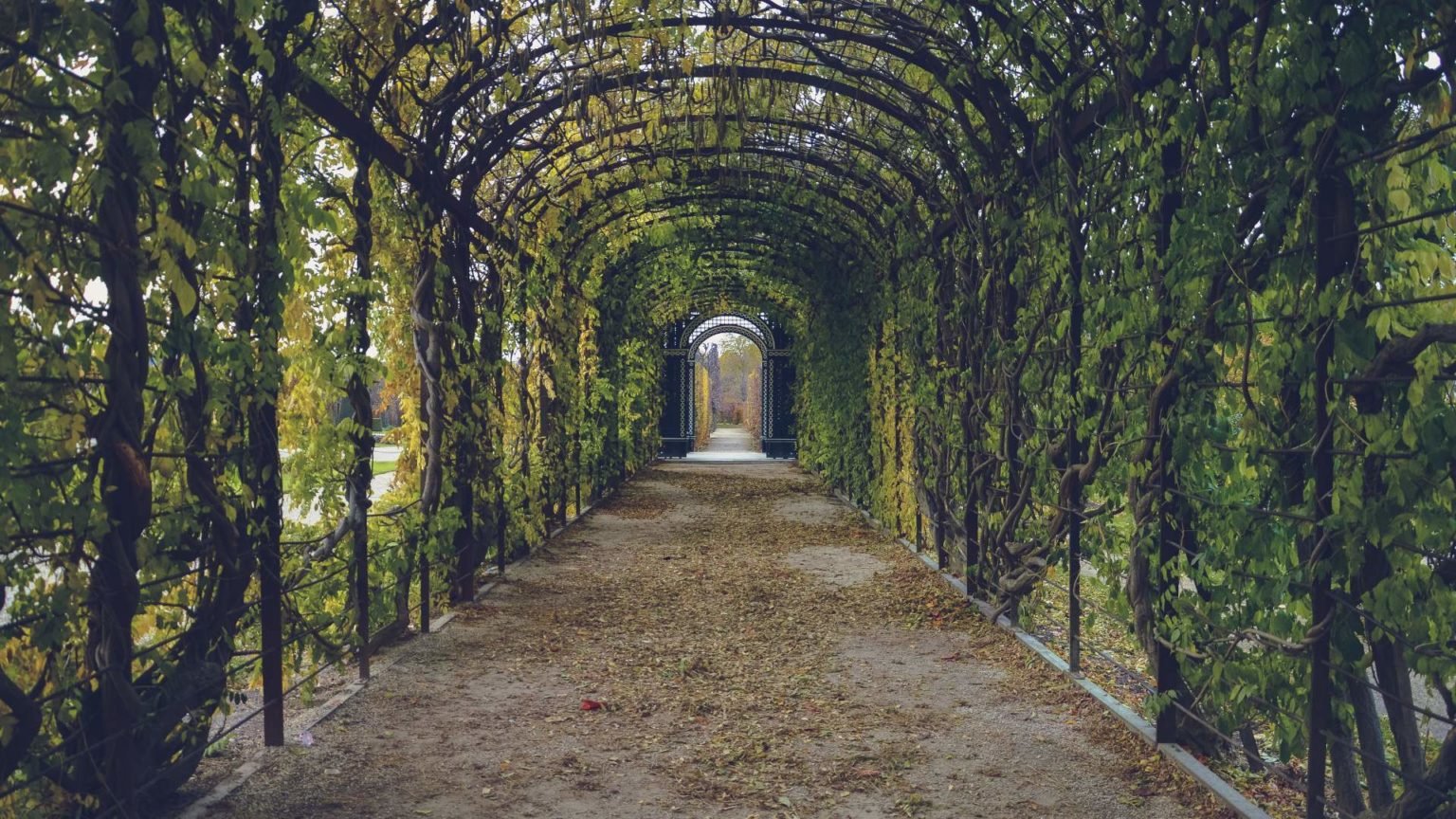 Unleash Waterford: 20 Unforgettable Things To Do In Waterford