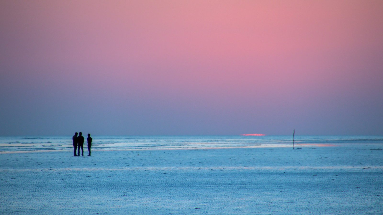 Explore The Wonders Of Kutch - Detailed Travel Guide