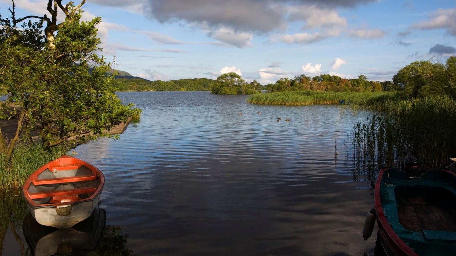 15 Best Places To Stay Killarney Ireland (2024)