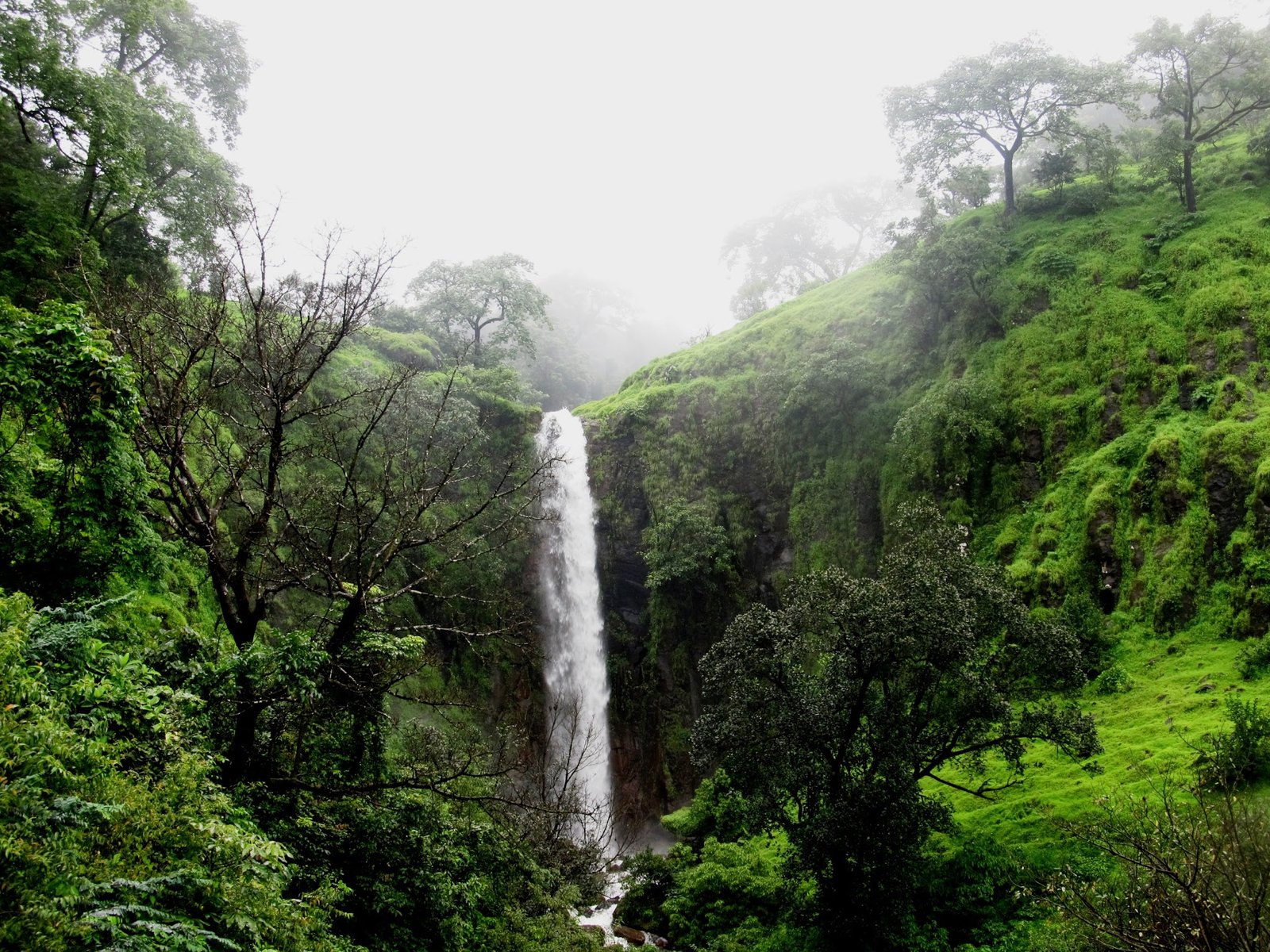 10 Best Waterfalls In Lonavala For 2024