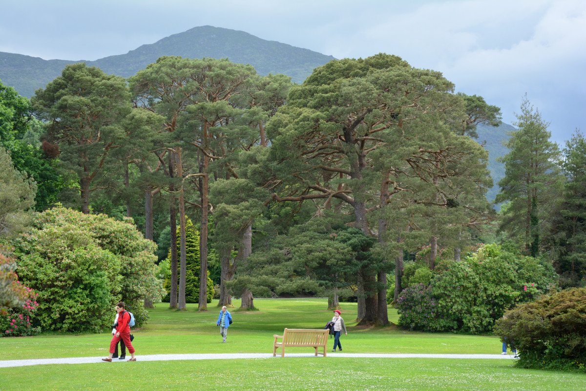 Killarney National Park: Walks, Hike, & Useful Guide (2024)